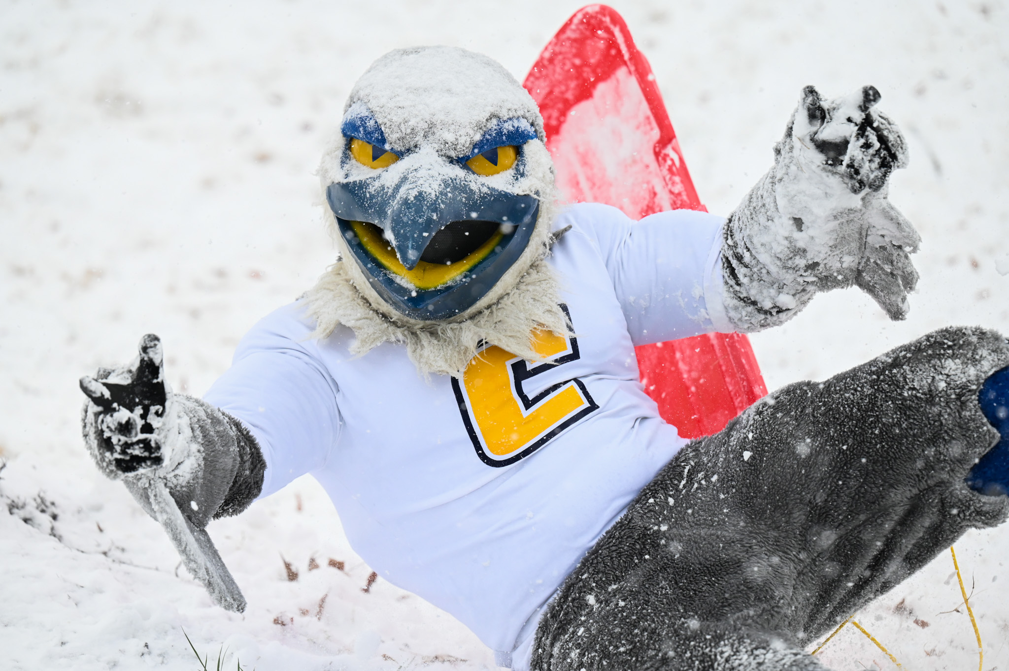 Video: UTC Campus Snow Day 2025 – Mocs News